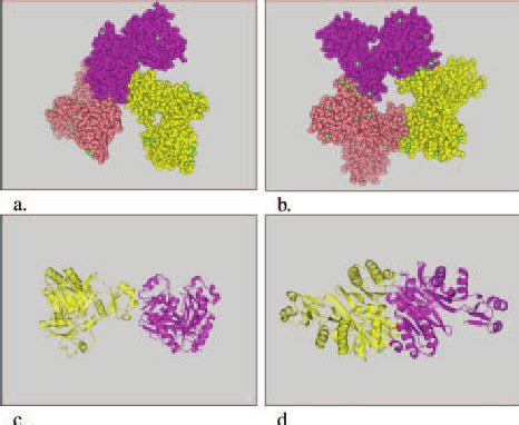 Two Examples Of BU Differences Between PDB And PQS A PDB BU For Download Scientific