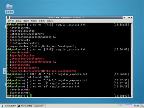 Grep命令与正则表达式 蓝桥云课