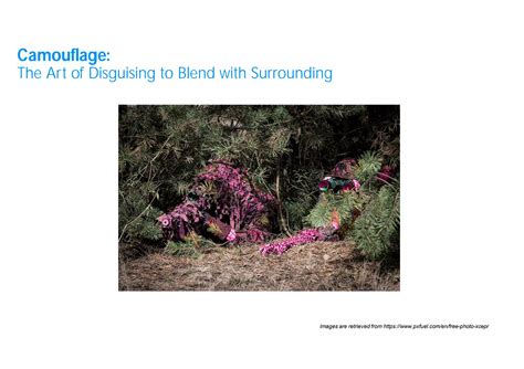 Optimizing Seismic Attributes Interpretation Using Hsv Rotation Ppt Pdf