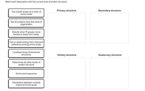 solved match each description with the correct level of p