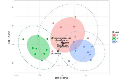 有监督排序—lda分析、作图及添加置信 ggord csdn博客
