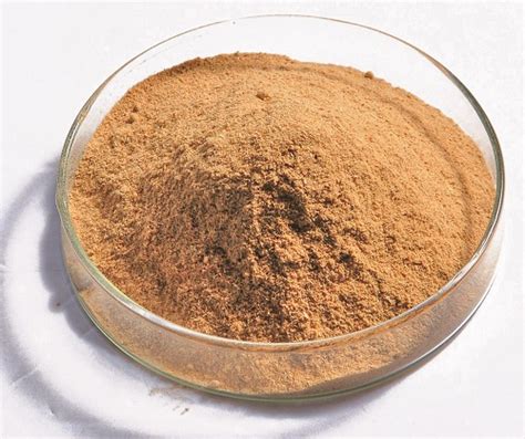 Tìm Hiểu Về Chủng Men Saccharomyces Cerevisiae