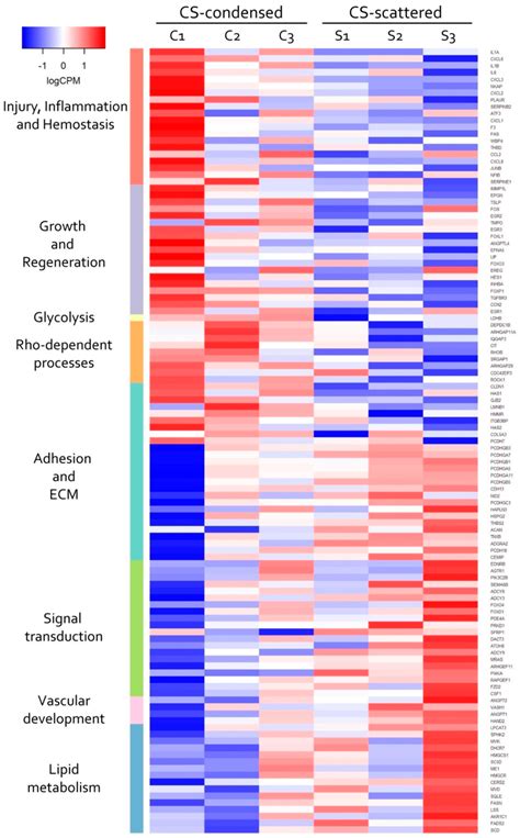 Heat Map Illustrating Differential Gene Expression Between The Cells Of Download Scientific