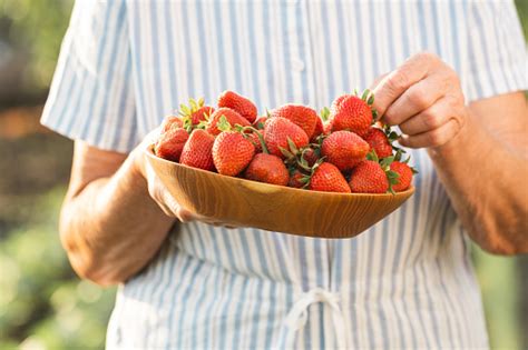 나이 든 여성 농부는 신선한 빨간 딸기로 가득 찬 나무 그릇을 들고 있다 해질녘이나 일출 동안 정원에서 딸기를 줍는 고위 백인