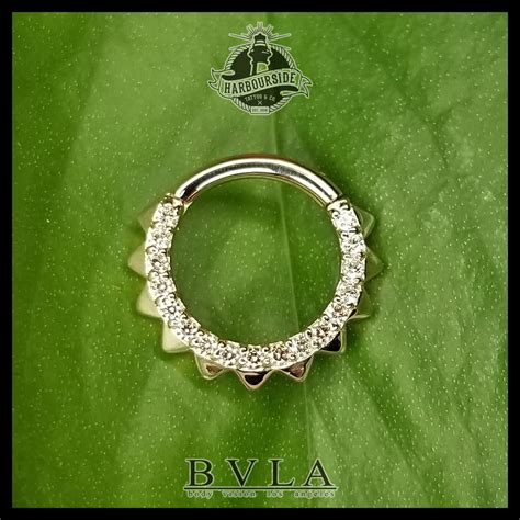 We Now Carry Bvla Russ Foxx