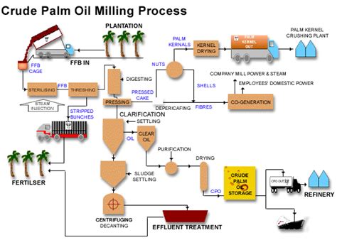 Palm Oil Mill Plant Process Palm Oil Extraction FAQ