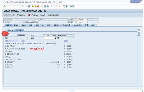【abap系列】sap abap如何在调试查看export import 内存数据 csdn博客