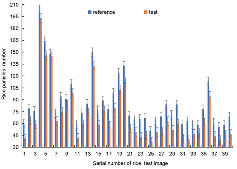 Improved Mask R Cnn Combined With Otsu Preprocessing For Rice Panicle