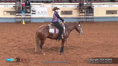 Aqha Reining Pattern 8
