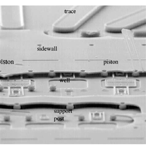Scanning Electron Micrograph Of The As Built Ejector Array Part Of The