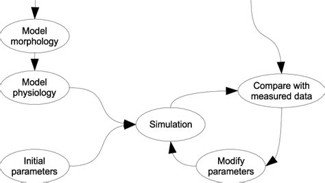 The Parameter Identification Framework The Model Is Initialized With Download Scientific