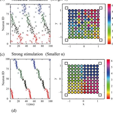 Examples Of The Network Firing Pattern A The Case Without Current