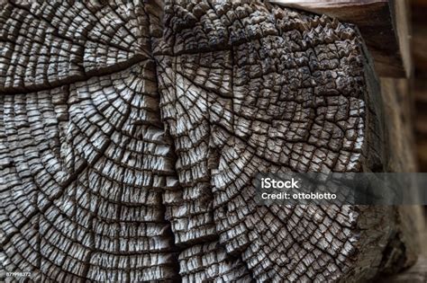 오래 된 나무 목재의 무 겁 게 확인 하 고 분할 끝 곡물 세부 사항 0명에 대한 스톡 사진 및 기타 이미지 0명 갈색 거친 Istock