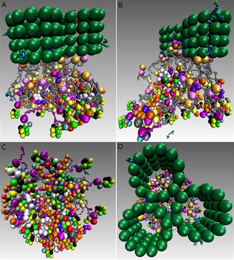 Multiple Rosette Like Structures Assembly In Mitosis A Shows Three Download Scientific