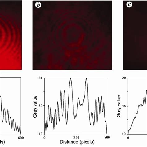Interference Patterns In The Two Pinhole Experiment For A Hole Diameter Download Scientific