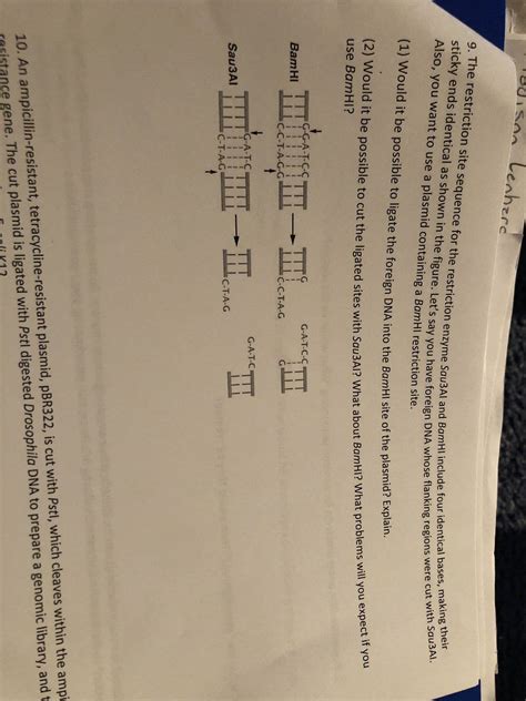 Answered 500 9 The Restriction Site Sequence… Bartleby