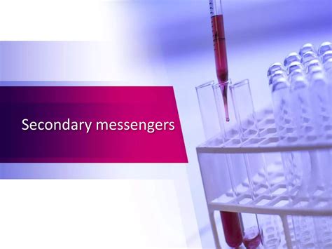 Cellular Signalling And Its Components Ppt