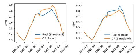 Counterfactual explanations for land cover mapping interview with Cassio Dantas ΑΙhub