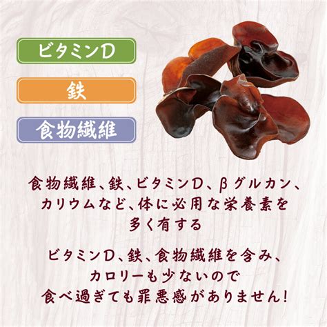 【楽天市場】直営店 きくらげ 梅しそ味 1個 2個 6個 きになるきくらげ お菓子 おつまみ ダイエット きのこ おやつ スナック菓子 食物