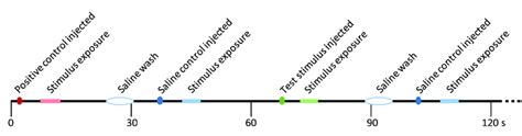 Sample Experiment Timeline This Timeline Represents A Short Segment Of Download Scientific
