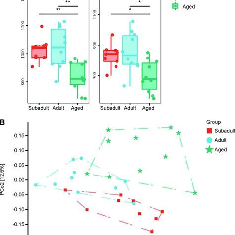 Diversity Differences In The Gut Microbiota Among The Three Age Groups