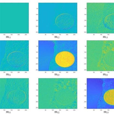 The Estimated Normalized Mueller Matrix Image Of The Target Next We