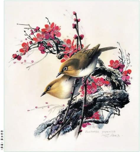曾孝濂中国植物科学画第一人