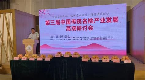阳山“桃王”，来啦！