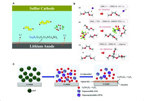 A Schematic Of Passivation Layer Composition When Adding La No 3 Download Scientific