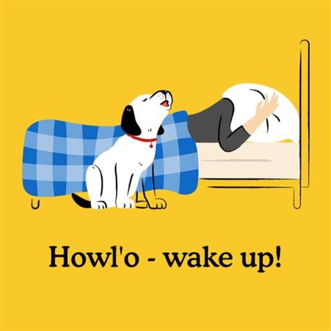 Why Do Dogs Bark All Night