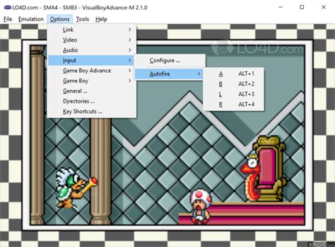 Vba M Emulator For Mac Seocpseomw