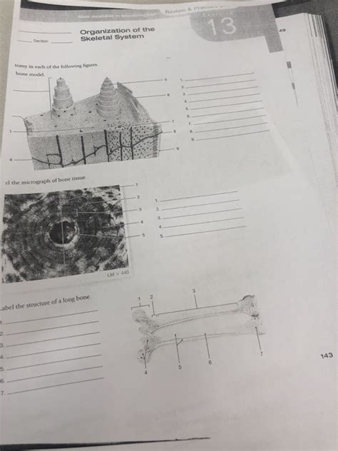 Solved Review Practice Sheet Xercise B Matching Match Chegg