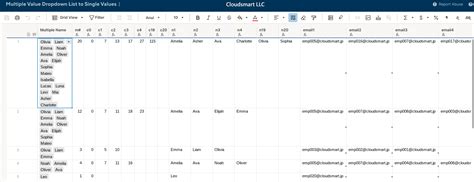 Autopopulate Emails Based On The Multi Choice Drop Down Selections Smartsheet Community