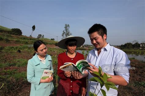 大学生村官们将科学栽种技巧送到苗木基地的农民手中 图片 轩视界