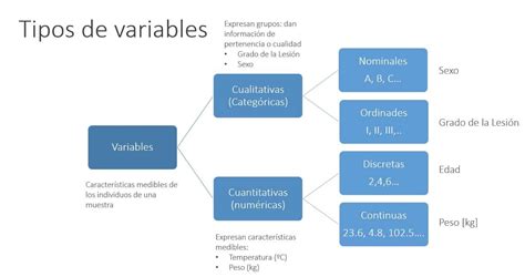 Cómo organizar una tabla de datos y los tipos de variables