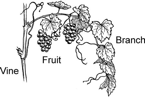 Vine And Branch Speech Therapy At Margaret Mangum Blog