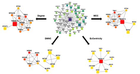 蛋白互作组学——系列6 关键互作蛋白的选择 知乎