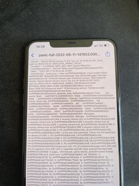 iphone 11 pro max panic logs llc bus error and port enable error