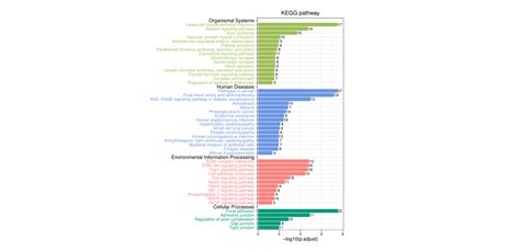 10套代码让你学会单细胞高级绘图 单细胞绘图 csdn博客