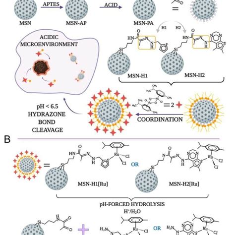 A Synthesis Of Ph Responsive Ruthenium Antitumor Drug Delivery Download Scientific Diagram