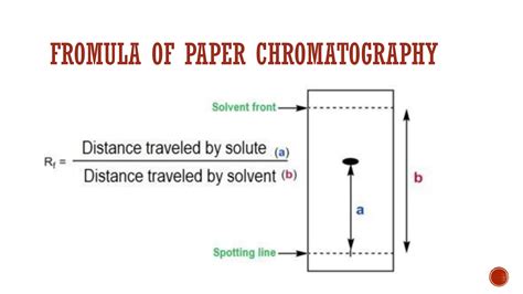 What Is Paper Chromatography Principal Procedure Types Diagram