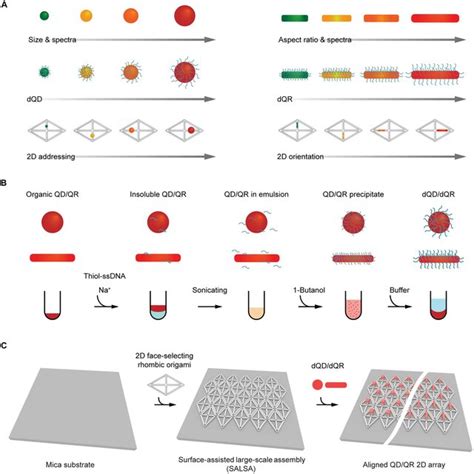 Strategy To Fabricate Scalable Qdqr 2d Array With Nanoscale Precision Download Scientific