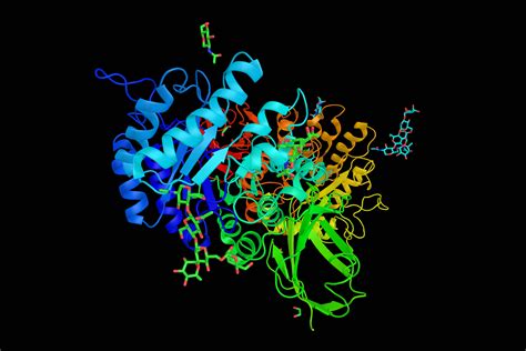 How To Recognize And Avoid Non Microbial Enzyme Activity In Foods Micrology Labs