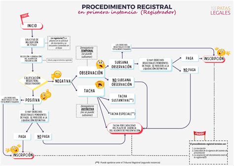 El Procedimiento Registral Paso A Paso • Tus Patas Legales