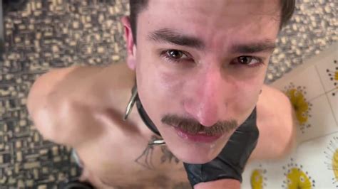 Training In Progress