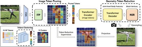 Tore Token Reduction For Efficient Human Mesh Recovery With Transformer