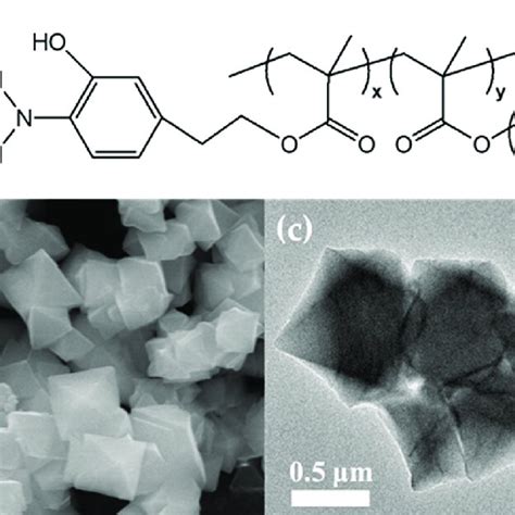 A Chemical Structure Of The Pbe Comb Copolymer B Sem And C Tem