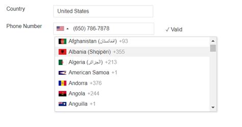Input Masks User Javascript And Css Discussions Caspio Community Forums