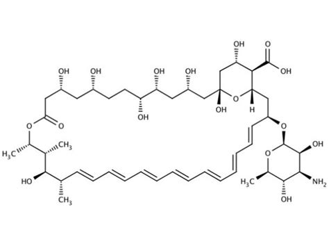 Amphotericin B Pulver