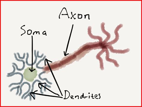 Mcp Neuron Artificial Intelligence Is An By Pranav Bhawsar Jul